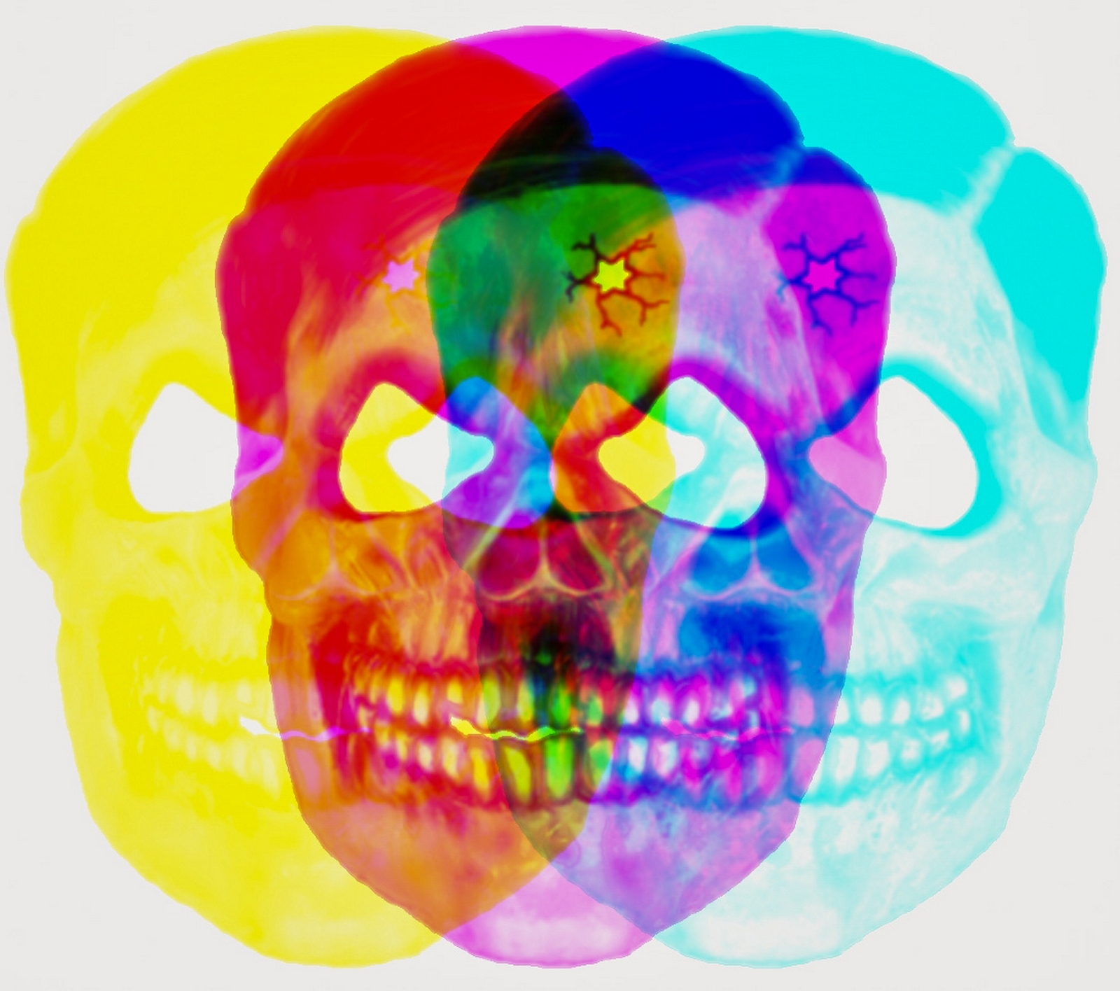 Authentic Digital Art - Empty Skull | SuperRare